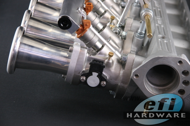 Jaguar Performance EFI Manifold